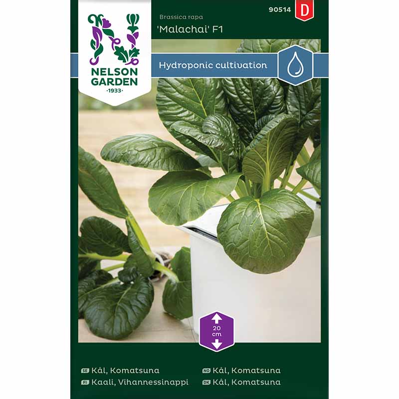 Komatsuna 'Malachai' F1 - Harvy - Fröer - Allafroer.se